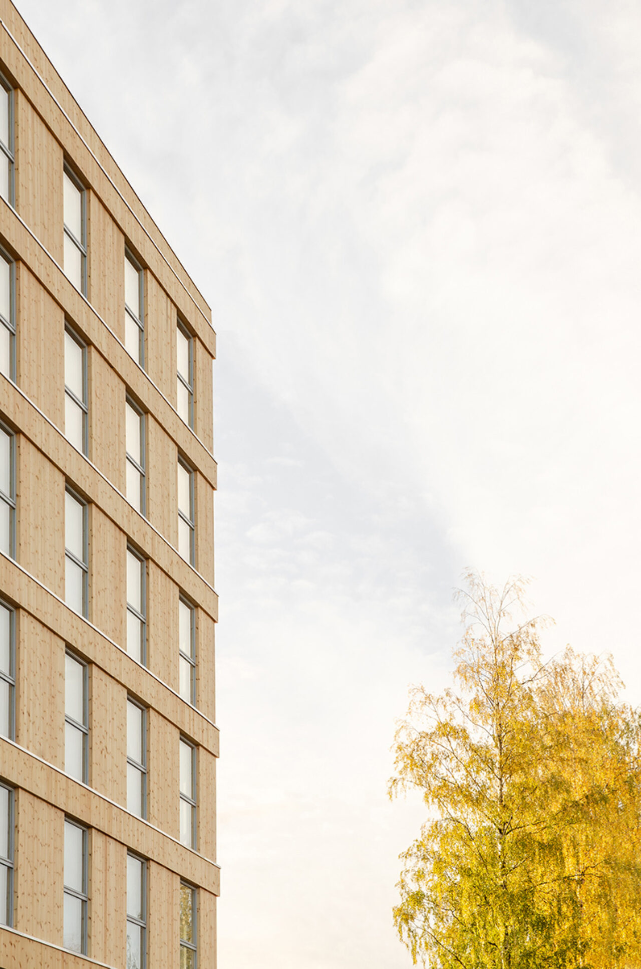 Kallerud student housing — Sanden Hodnekvam Arkitekter / Arkitekt Nesodden (en-US)