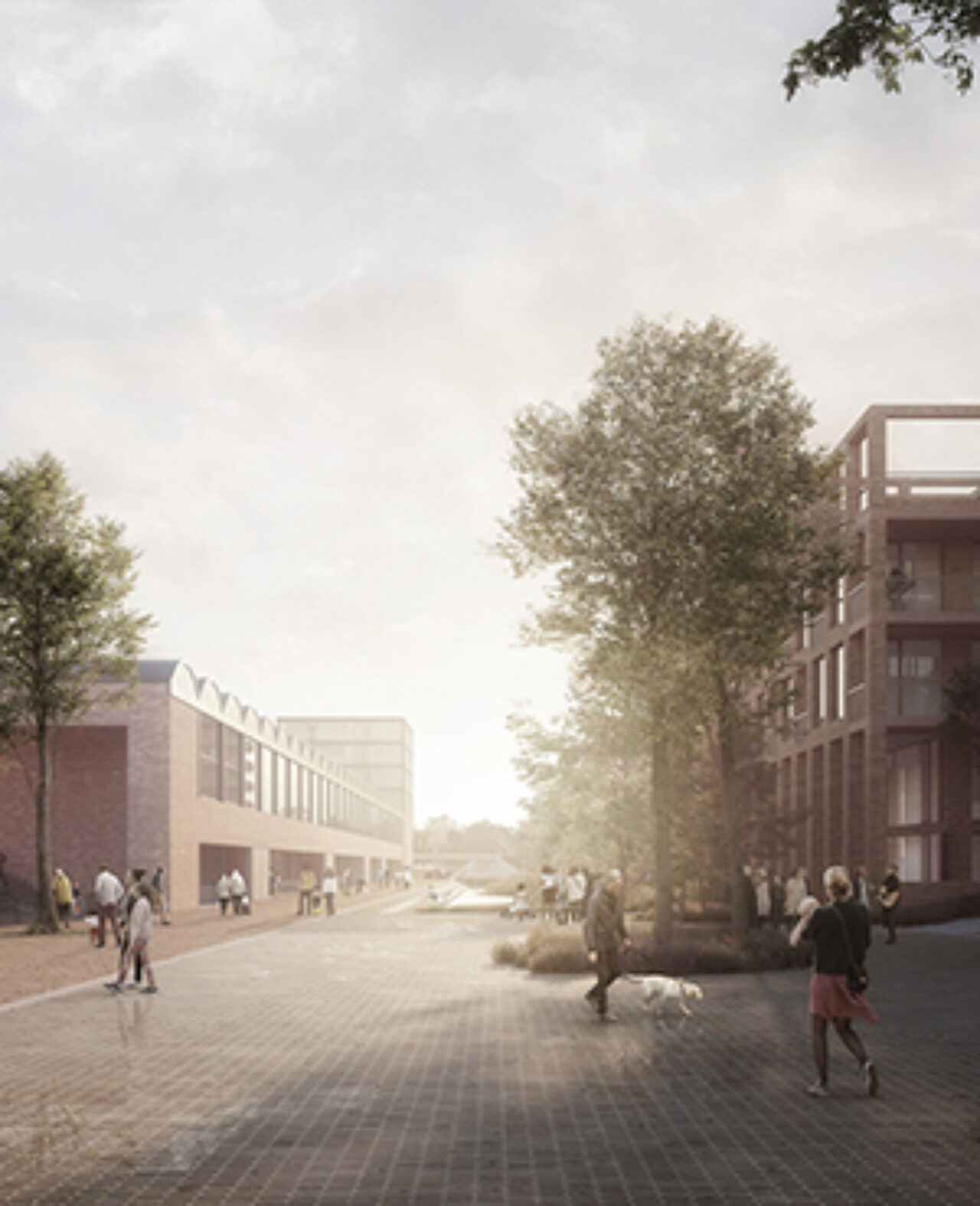 Ankerhagen housing area, Hamar — Sanden Hodnekvam Arkitekter / Arkitekt Nesodden (en-US)